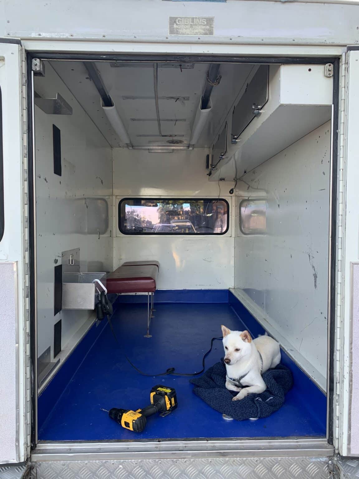 RV Camping with Dogs | Everything You Need to Know