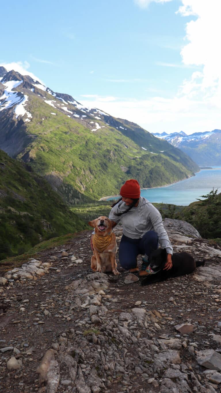 RV Camping with Dogs | Everything You Need to Know